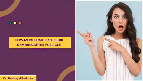How Much Time Free Fluid Remains After Follicle Rupture