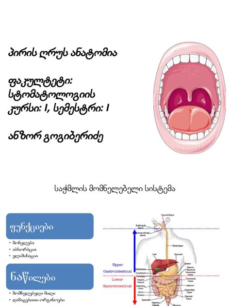 პირის ღრუ ალიკა Pdf
