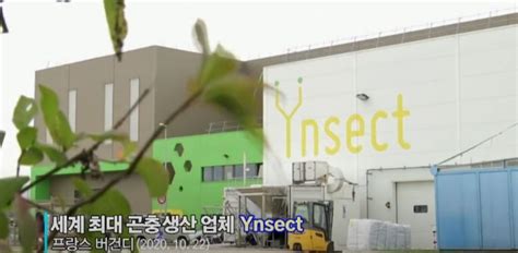 미래의 고기 곤충사육사를 아시나요 [뉴 잡스] 아시아경제