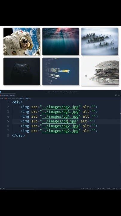 Image Gallery In Htmlcss Shorts Youtubeshorts Viral Html Youtube