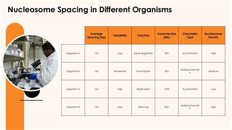 Nucleosome Spacing Distribution Ppt Template Acp Ppt Example