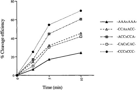 Cleavage Efficiency For Cleavage By Endo Iv Of Five 35 Mer