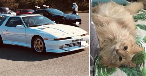 Demi Biaya Berobat Kucing Pria Asal Jepang Ini Jual Mobil Kesayangannya USS Feed