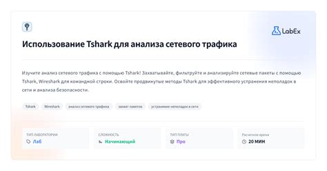 Использование Tshark для анализа сетевого трафика Labex