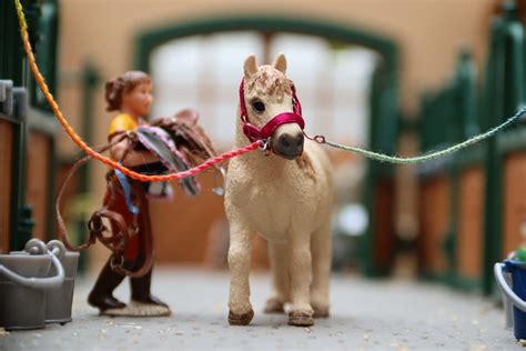 Tacking Up Hestestald Cool Baggrunde Heste