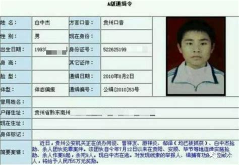 年龄最小的a级通缉犯：17岁白中杰参与杀害9人｜中国大案纪实纪实中国新浪新闻