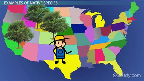 Native Species Definition Types And Examples Video