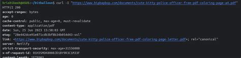 Canonical Tags In Header For Pdfs Non Html Files Support Netlify