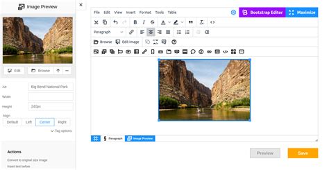 How To Insert Image Preview On Your Website N1ED