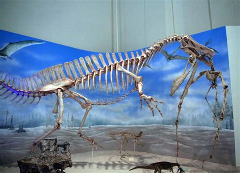 Irritator Paleontology World