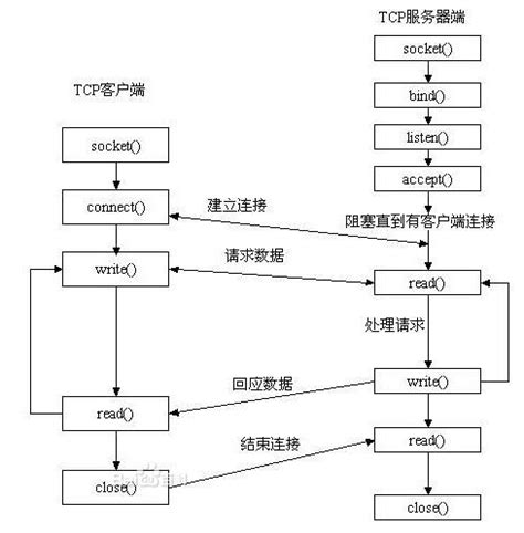 net平台下C socket通信上 小项目笔记 博客园