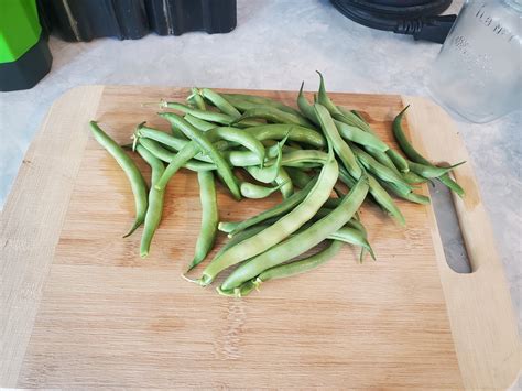 Blog Creating With Nicole