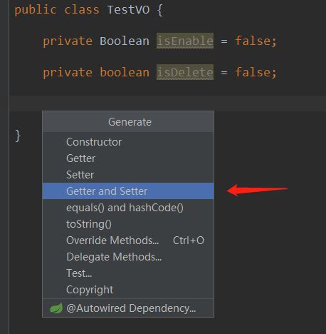 解决当boolean类型的变量命名由is开头时IDEA自动生成getset方法的问题 复制粘贴一把梭 博客园