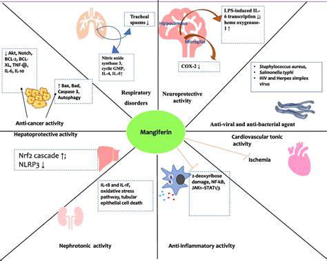 Some Structural Modifications And Usage Of Nanoparticle Carriers For
