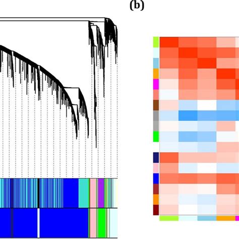 A Dendrogram Of Genes Clustered Based On A Dissimilarity Measure