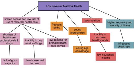 Problem Tree Dpmi Deliverables Tami Weiss