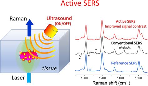 Active Surface Enhanced Raman Spectroscopy Sers A Novel Concept For
