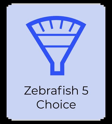 Types And Applications Of Patch Clamp Electrophysiology