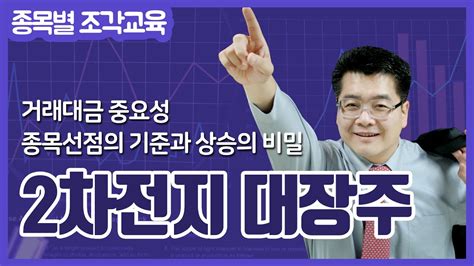 2차 전지 대장주 교육 및 전략 Lg에너지솔루션 And Lg화학 And 삼성sdi And 포스코케미칼 And Sk이노베이션 And 엘앤에프 And 금양 Youtube