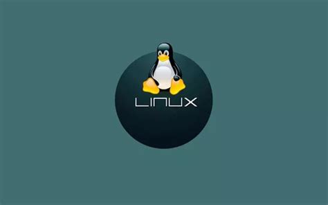Linux Mint 22 “wilma” Sarà Basato Su Ubuntu 24 04 Lts Html It