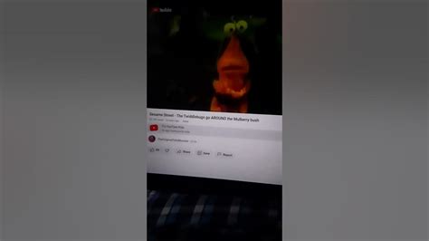 Sesame Street Twiddlebugs 16 Youtube