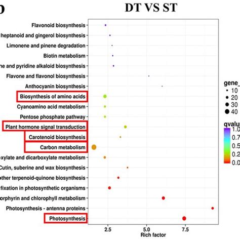 Kegg Functional Classification Of Degs In Different Modules Of Wgcna