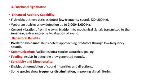 Structure And Significance Of Weberian Ossicles Pptx