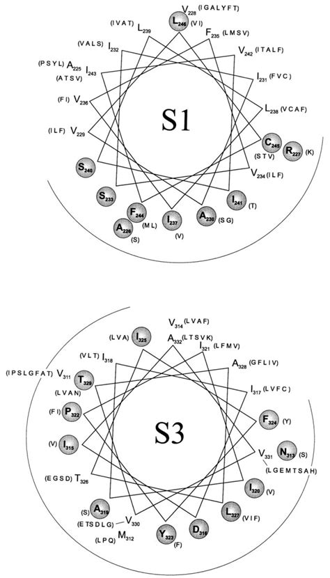 sequence variability in s1 and s3 blast searches were carried out on