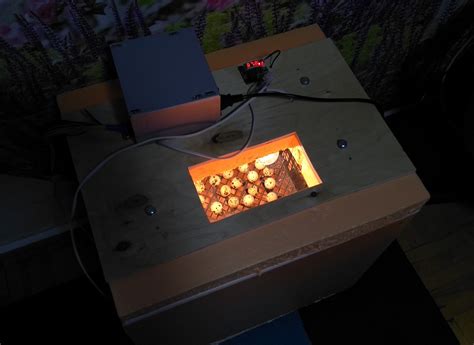 Самодельный инкубатор (78 фото) - фото - картинки и рисунки: скачать ...