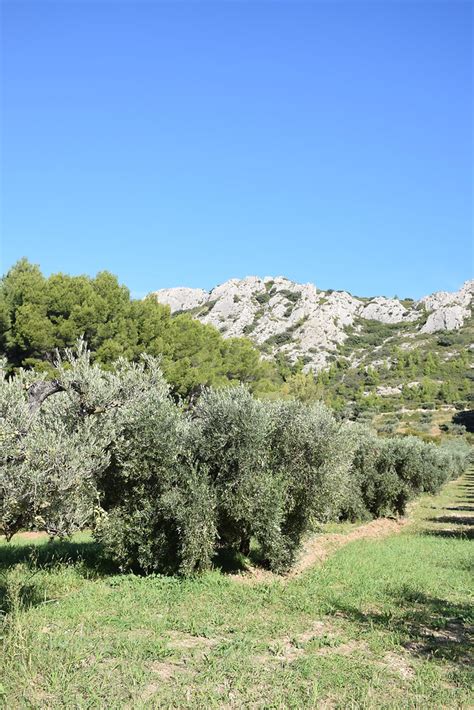 Que Faire Dans Les Alpilles