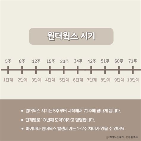 원더윅스 뜻 · 기간 · 시기 · 증상 · 대처 · 계산 방법 알아보기 네이버 블로그