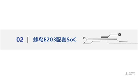 蜂鸟e203设计概况nuclei Rv大学计划risc V Mcu中文社区