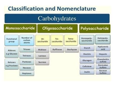 Carbohydrates Classification Biochemical Properties Isomerism And