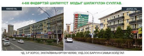 Хотын гудамжинд суулгасан шилмүүст модны ургалттай танилцлаа