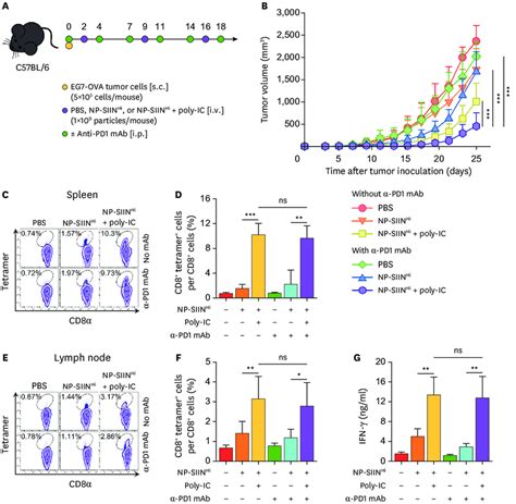 Combination Of Np Siin Hi With Poly Ic And Anti Pd1 Mab Further