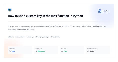how to use a custom key in the max function in python labex