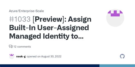 [preview] assign built in user assigned managed identity to virtual
