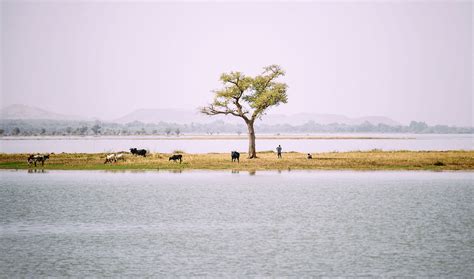 Trees And Water Dont Underestimate The Connection Center For International Forestry Research