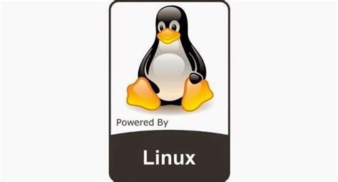 install and configure your any linux server by thahakmms fiverr
