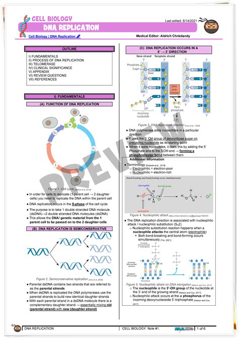 DNA Replication Notes NinjaNerd Medicine