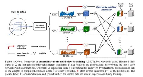 github ryandok co training for nih pancreas segmentation