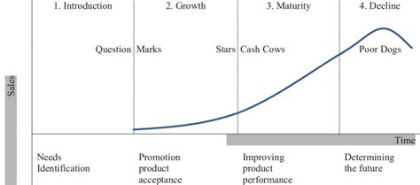 Lifecycle Model Combined With The BCG Matrix Source Compiled By Download Scientific Diagram