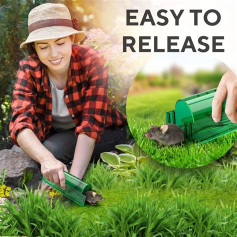 Humane Mouse Traps Indoor For Home No Kill Mouse Traps Catch And