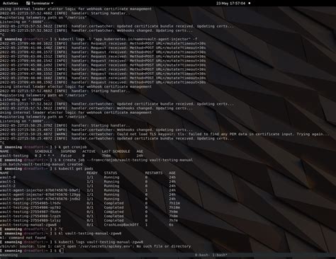 Tls Handshake Error With Vault Agent Injector · Issue 275 · Hashicorp