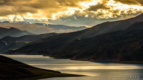 The Power Of Collating Information Why It Matters In Any Industry Knowledge And Science