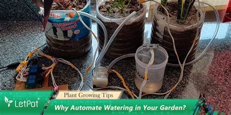 Why Automate Watering In Your Garden