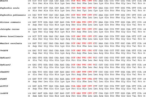partial sequence alignment of bract1 anthocyanin related gsts and