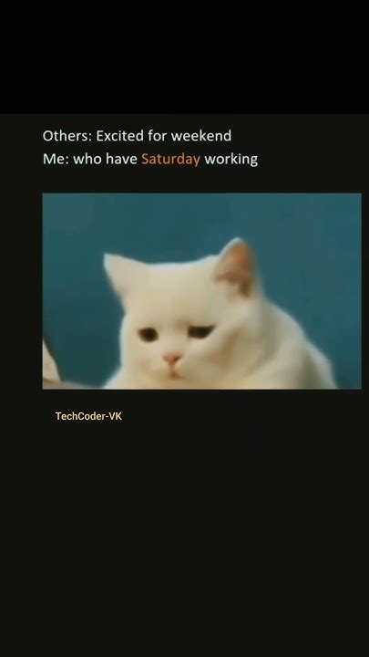 😁🤭programming Coding Webdevelopment Project C Javascript Funny