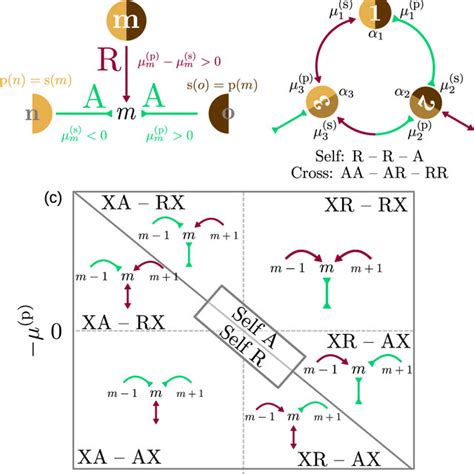 A Specific Interaction Between Catalytically Active Species Download Scientific Diagram