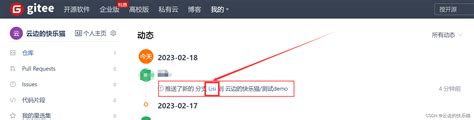 git使用小乌龟克隆与推送代码gitee 零命令行（组员版本） 小乌龟推代码 csdn博客
